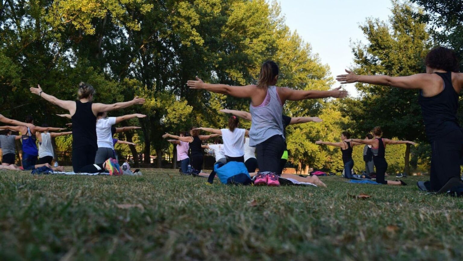 How Global Perspectives Shape Personal Wellness Choices - Oneworldcolumn